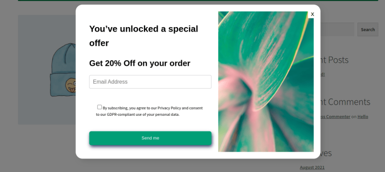 What is a Popup? - Examples + Tips