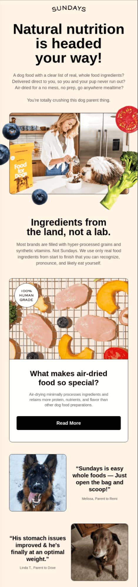 Email Marketing Funnel: How to create + Examples