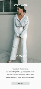 10 Best back in stock Email Examples (Tips + Free Templates)