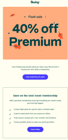 10 Flash Sale Examples from High-Performing Brands